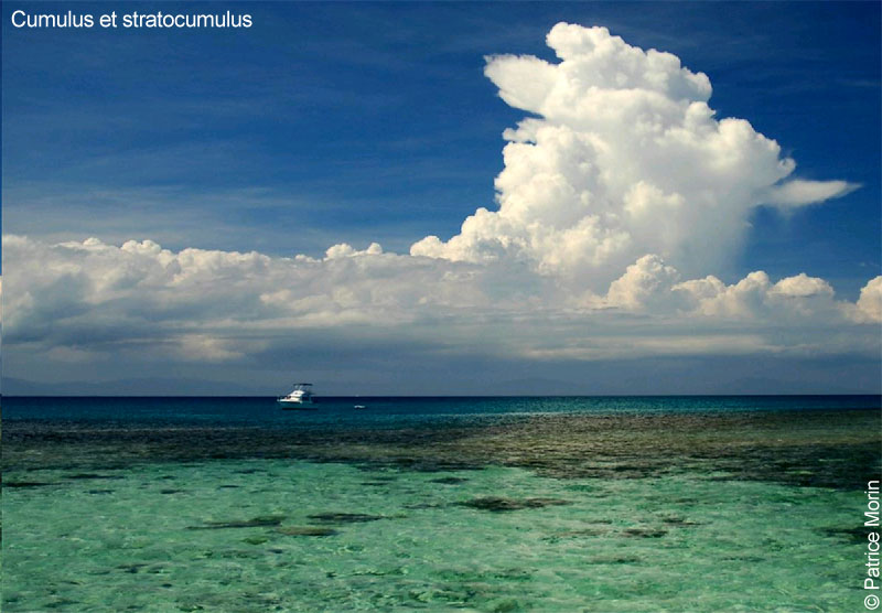 Météo Nouvelle-Calédonie - Observation